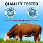 Nutrient-rich beef liver capsules