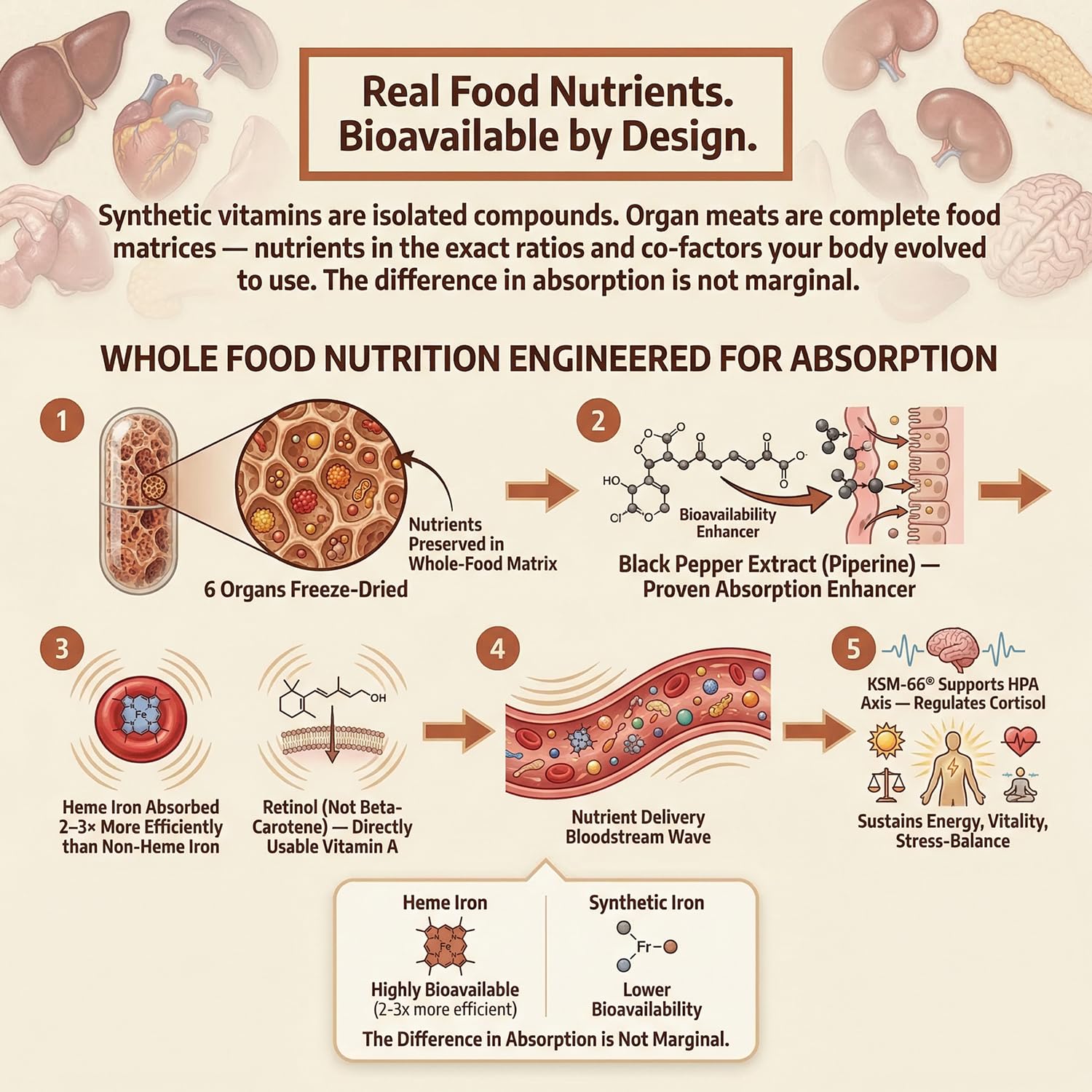nutrient-rich beef liver capsules