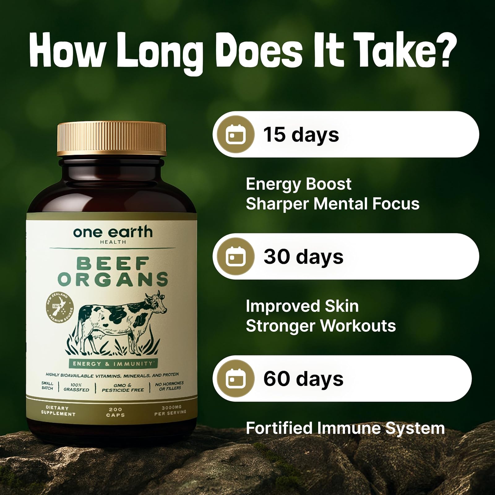 nutrient-rich beef organs supplement
