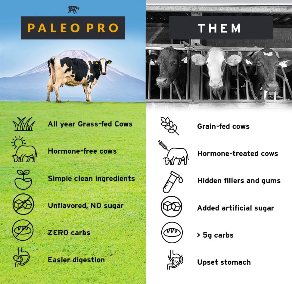 nutrient-rich beef protein for athletes