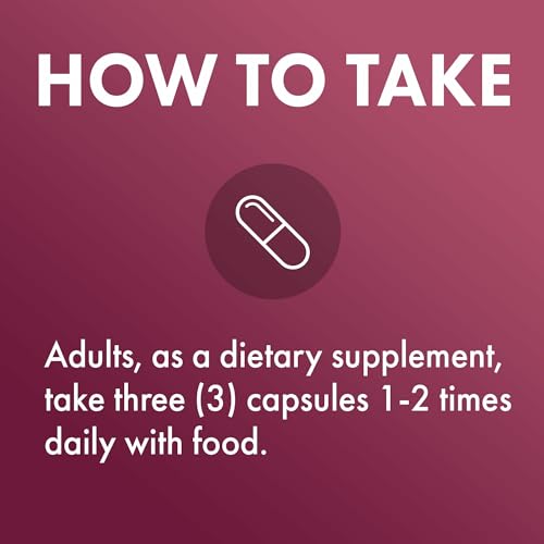 nutrient-rich berry and fruit blend