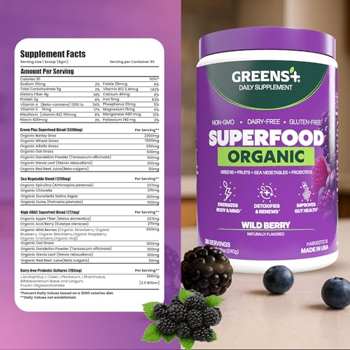 nutrient-rich berry powder supplement