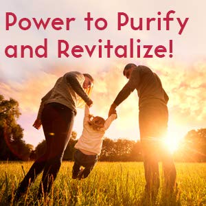 nutrient-rich blend for daily wellness
