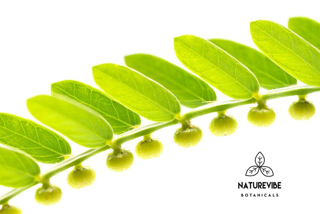 nutrient-rich blended supplements for energy