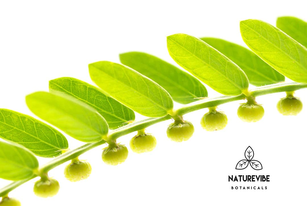 nutrient-rich blended supplements for energy