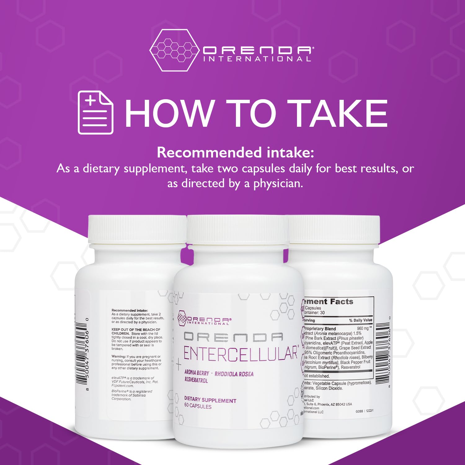 nutrient-rich blended vitamin & mineral blend