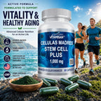 Nutrient-rich blue green algae capsules