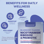 Nutrient-rich blueberry mushroom blend