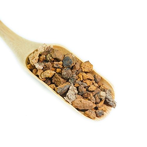 nutrient-rich Canadian chaga mushrooms