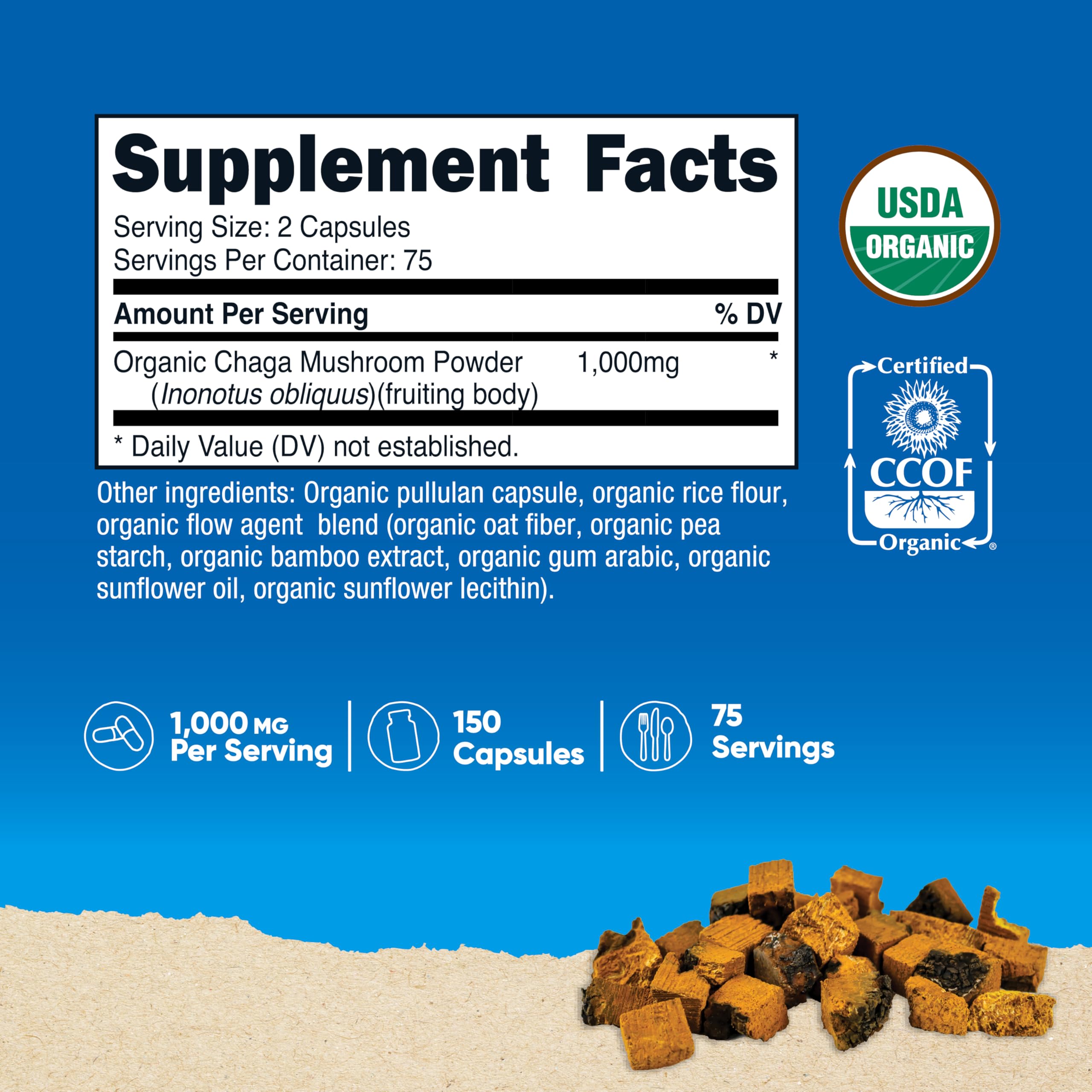 nutrient-rich chaga mushroom benefits
