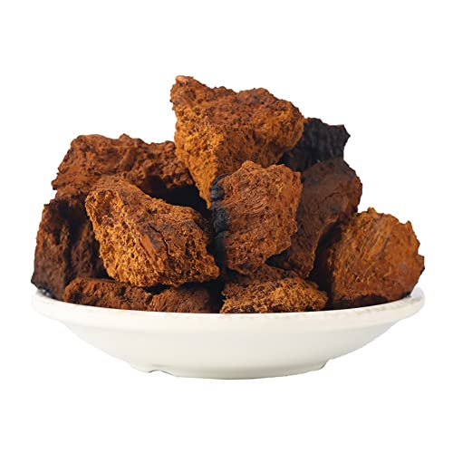 Nutrient-rich Chaga mushroom chunks