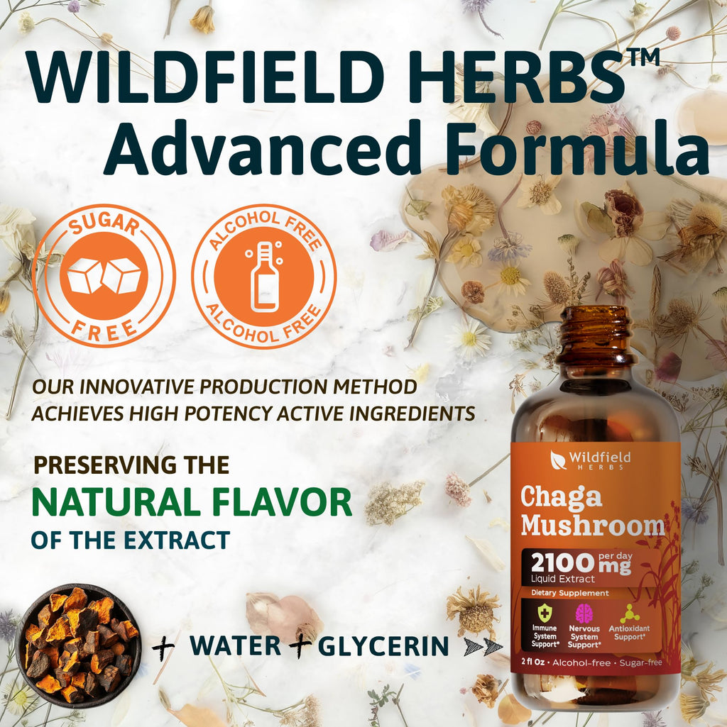 Nutrient-rich chaga mushroom drops