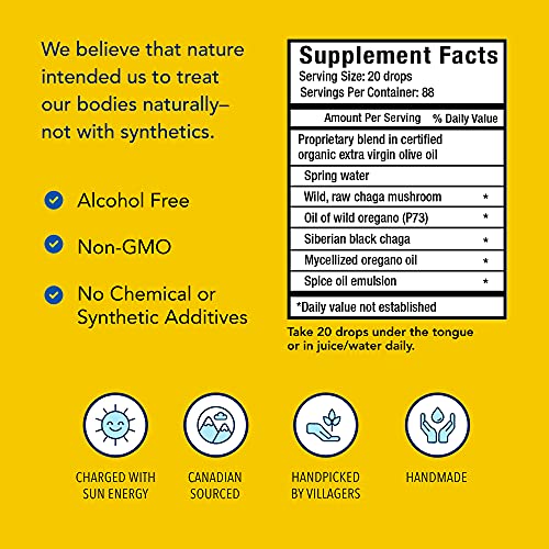 Nutrient-rich chaga mushroom extract