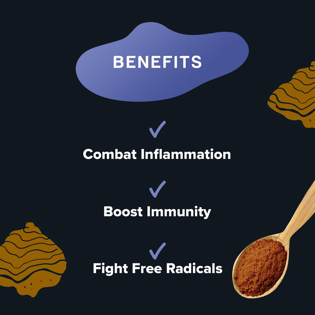 nutrient-rich chaga mushroom extract