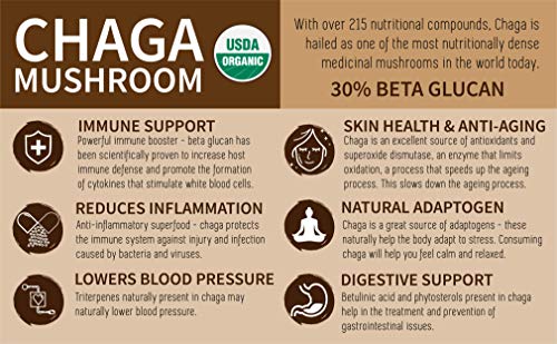 nutrient-rich chaga mushroom extract