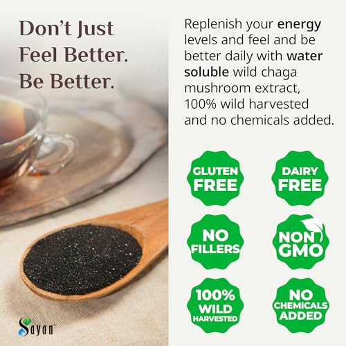 nutrient-rich chaga mushroom extract