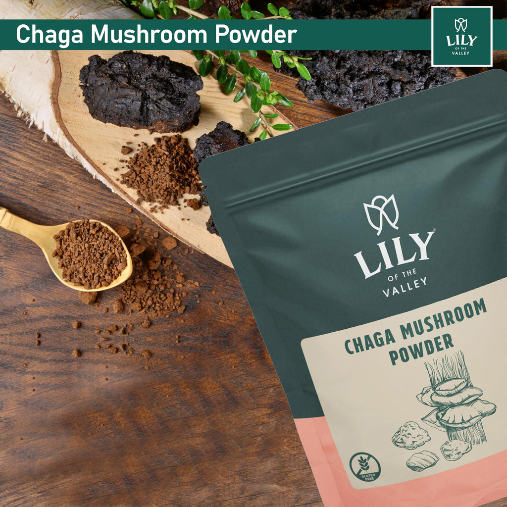 nutrient-rich chaga mushroom powder supplement