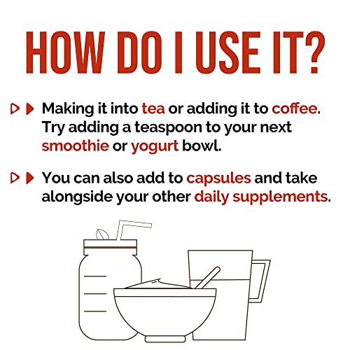 nutrient-rich chaga mushroom powder