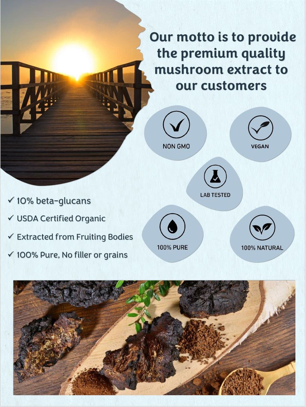 nutrient-rich chaga mushroom powder