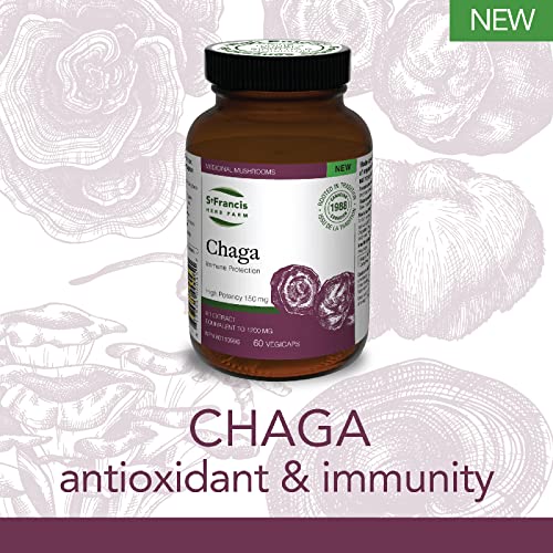 nutrient-rich chaga mushroom supplement