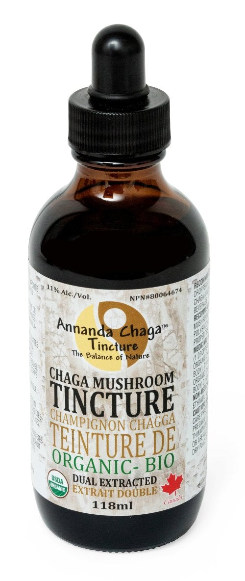nutrient-rich chaga mushroom supplement