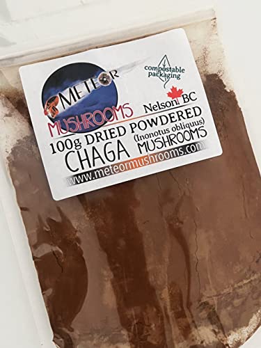 nutrient-rich chaga mushroom supplement