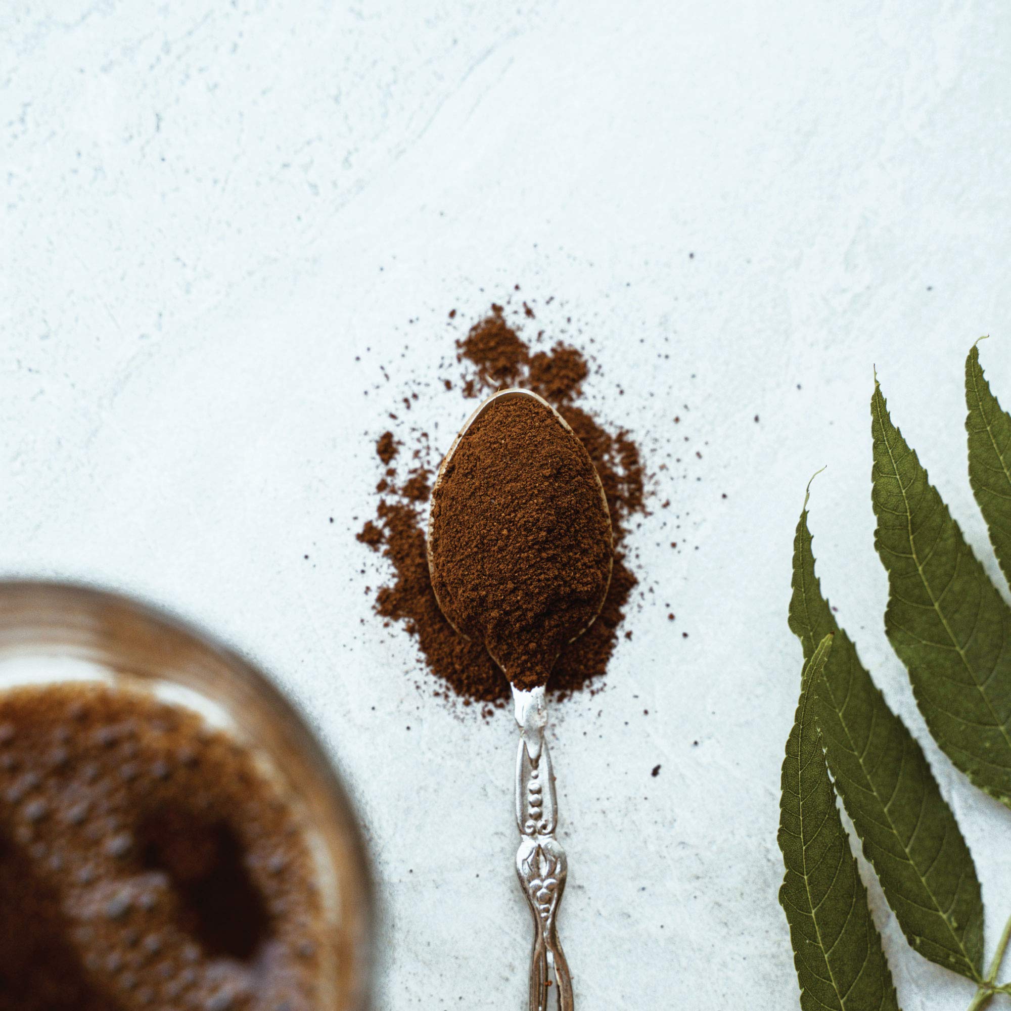 Nutrient-rich Chaga mushroom supplement