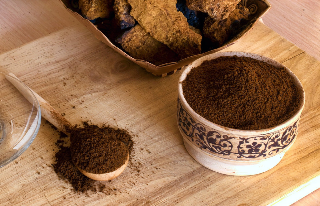 nutrient-rich chaga mushroom supplement