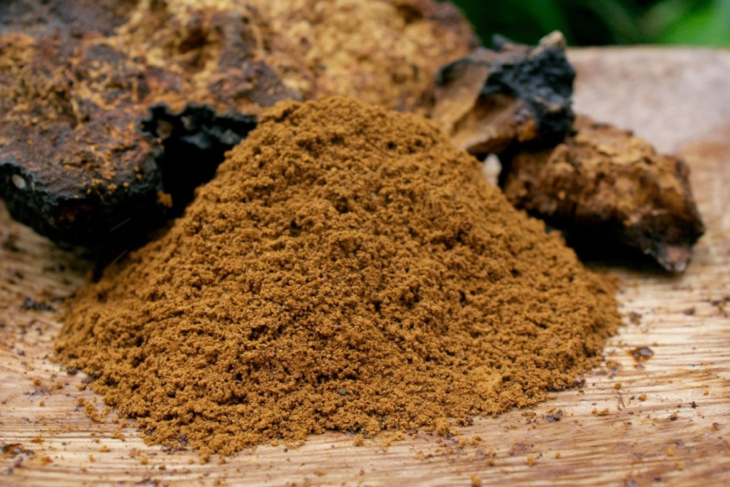 nutrient-rich chaga mushroom supplement