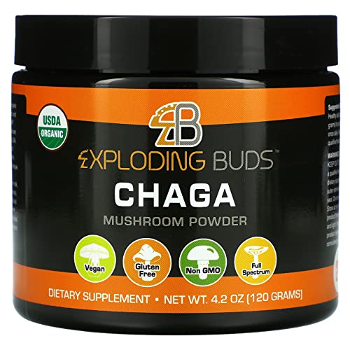 nutrient-rich chaga mushrooms for wellness