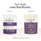 nutrient-rich chaga powder supplement