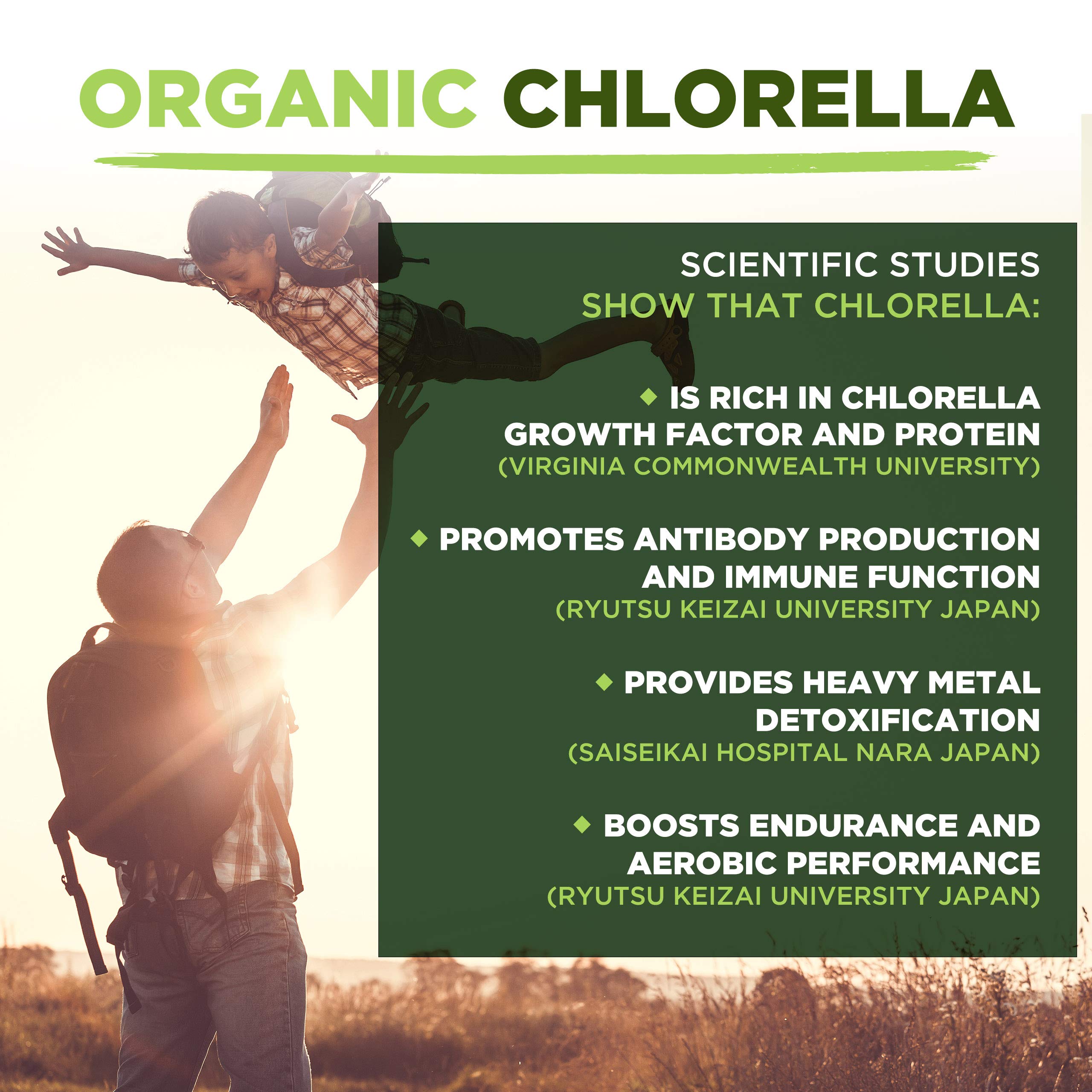 nutrient-rich chlorella for energy boost