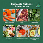 nutrient-rich chlorella for energy