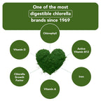 nutrient-rich chlorella powder
