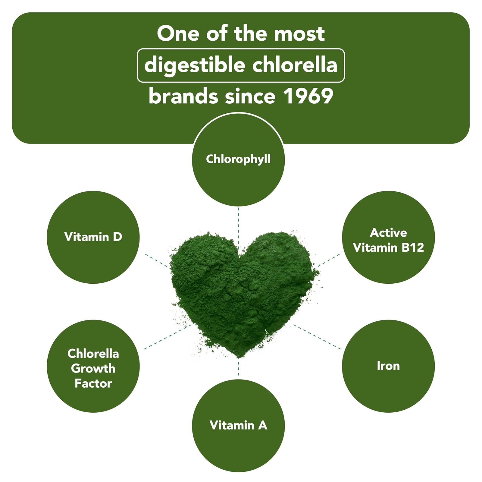 nutrient-rich chlorella powder