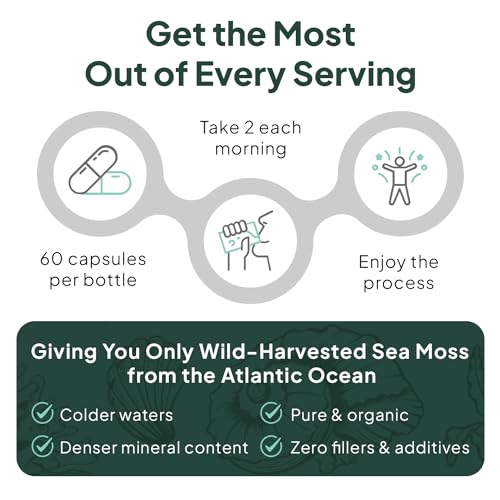 nutrient-rich chlorella supplement