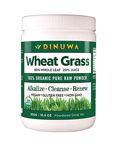 nutrient-rich chlorophyll juice powder