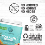 nutrient-rich collagen powder for skin