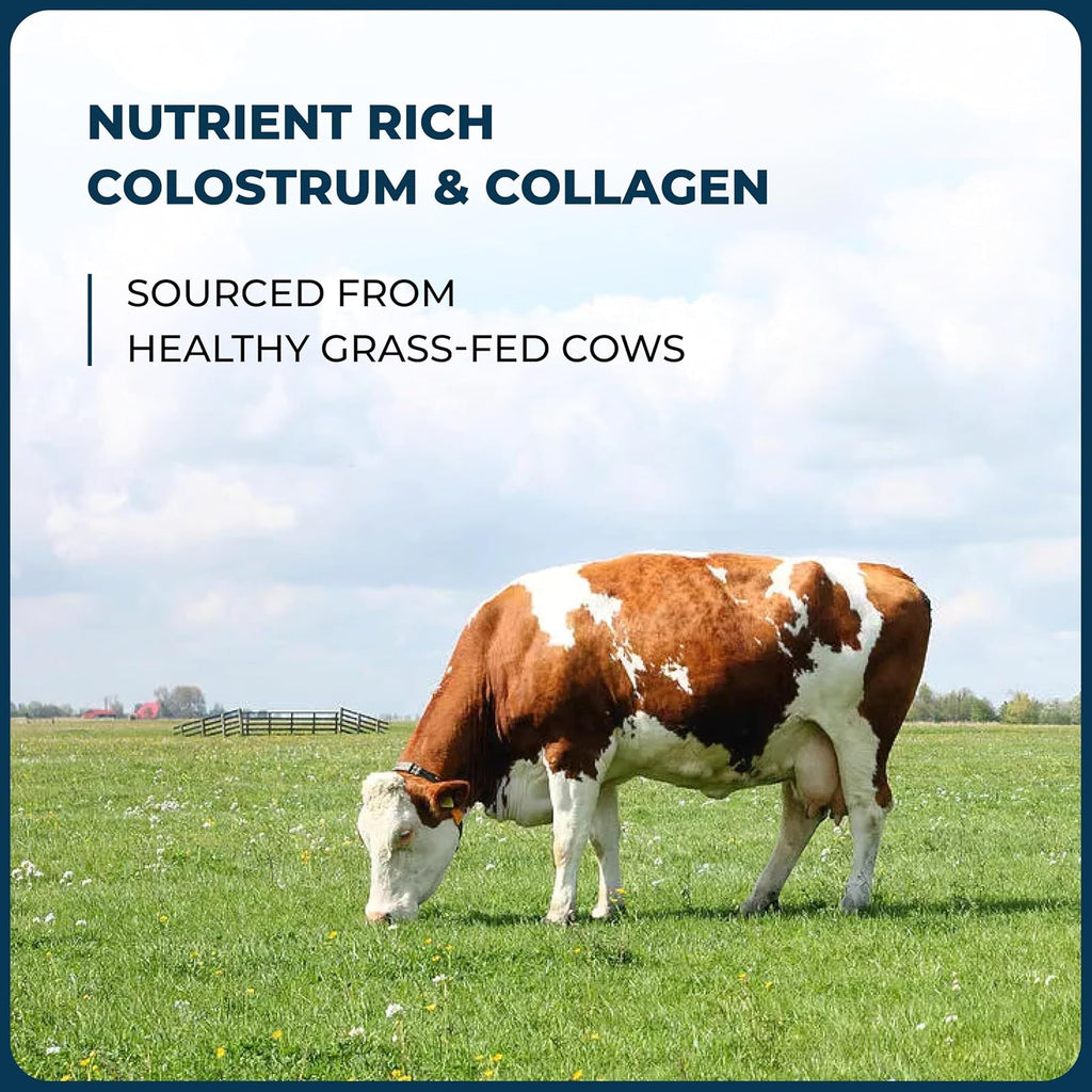 nutrient-rich colostrum for skin health