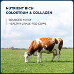 nutrient-rich colostrum for skin health