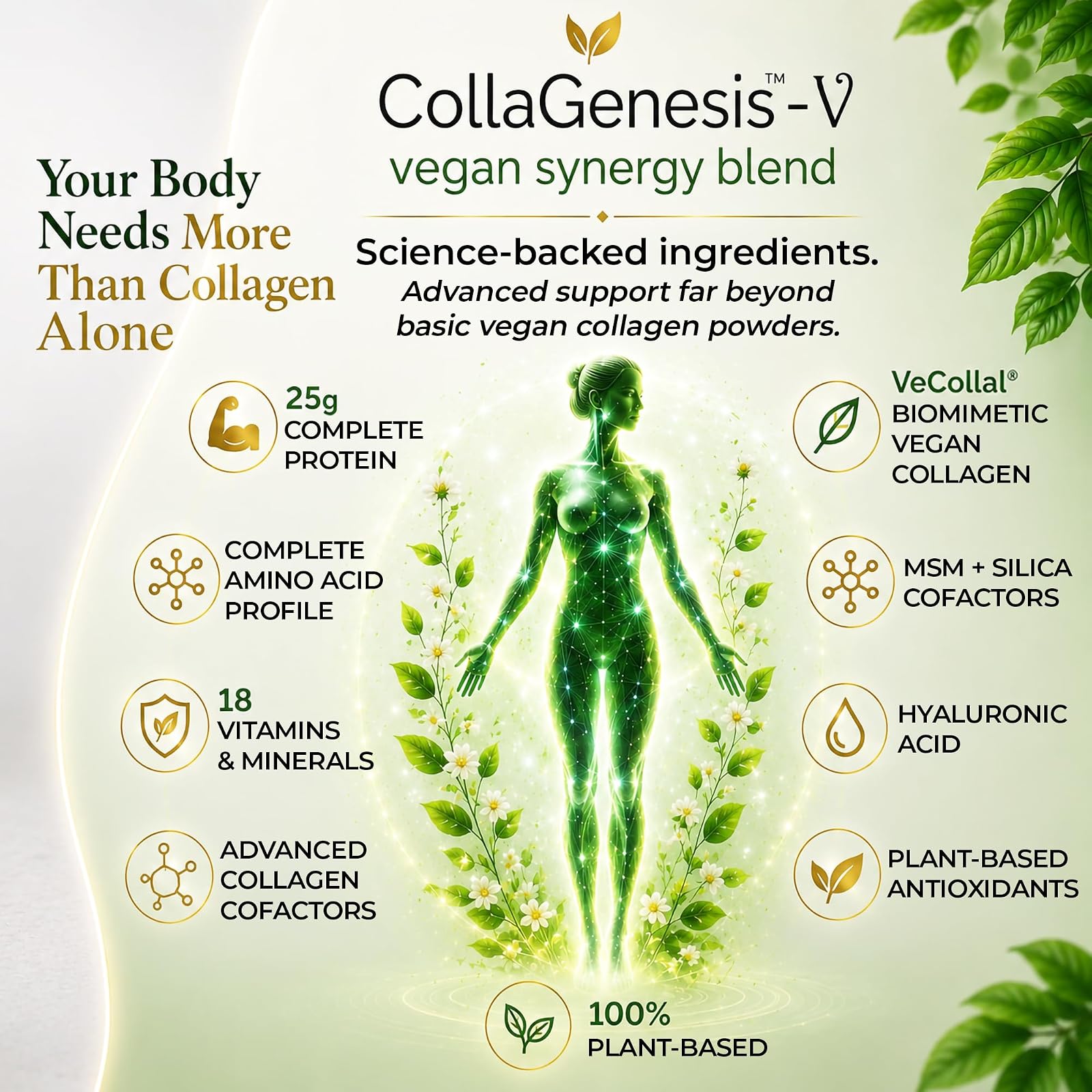 nutrient-rich complete protein blend