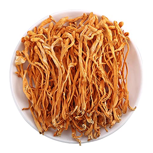 nutrient-rich cordyceps flower benefits