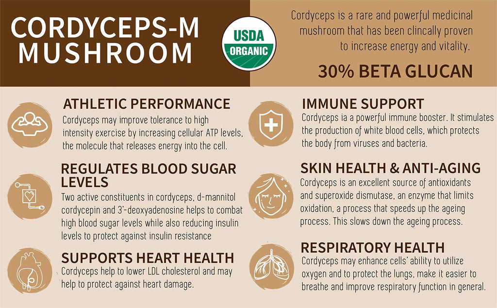 nutrient-rich cordyceps mushrooms