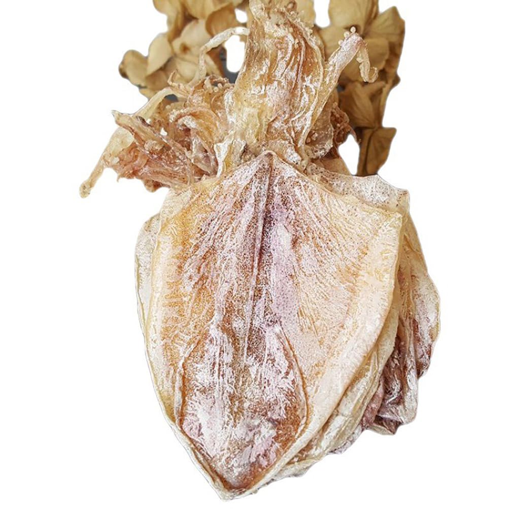 nutrient-rich dried squid snack