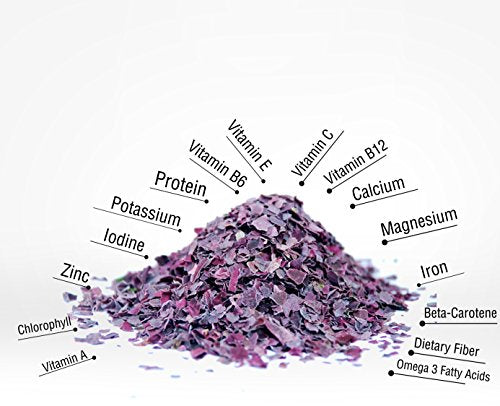 nutrient-rich dulse for daily health