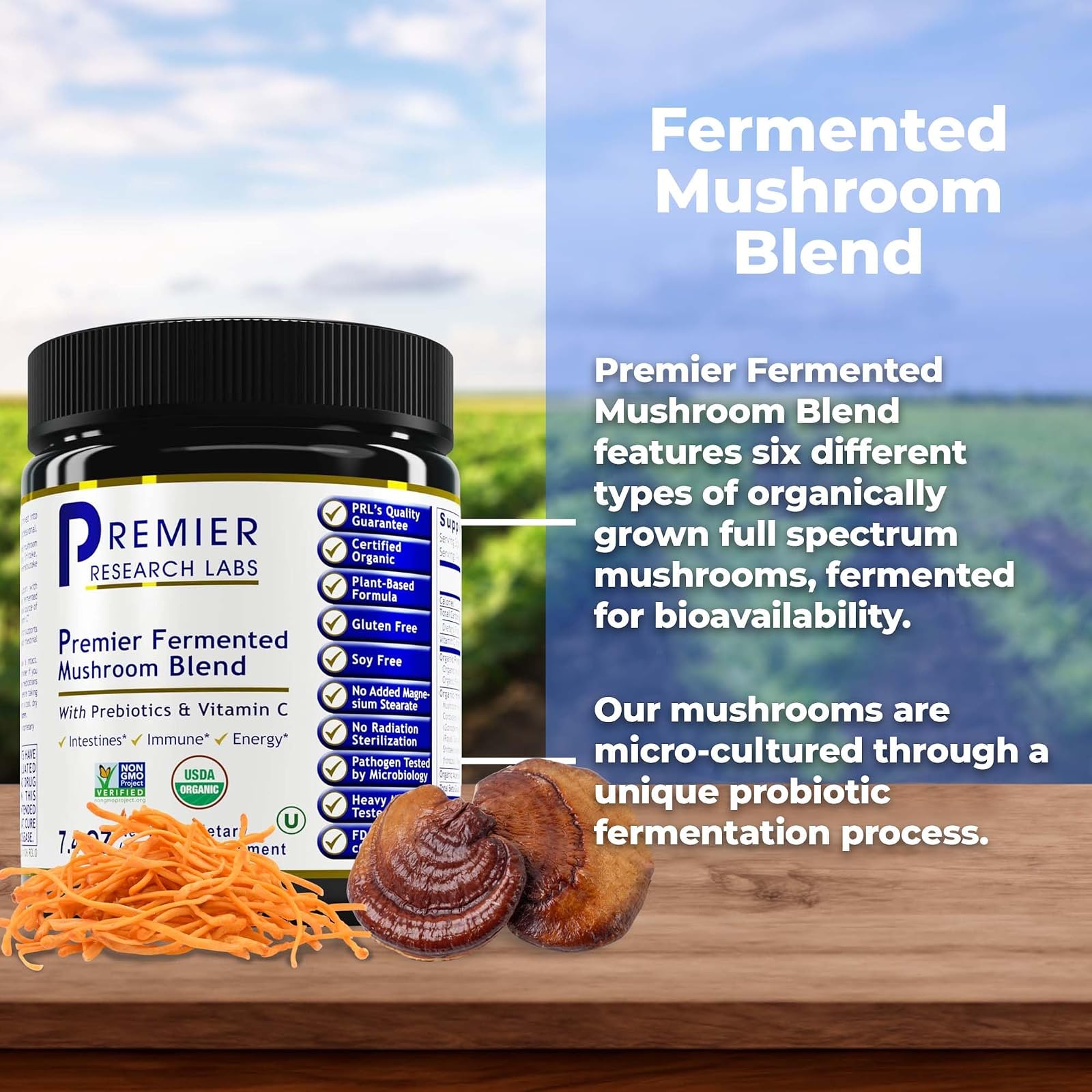 nutrient-rich fermented mushroom blend supplement