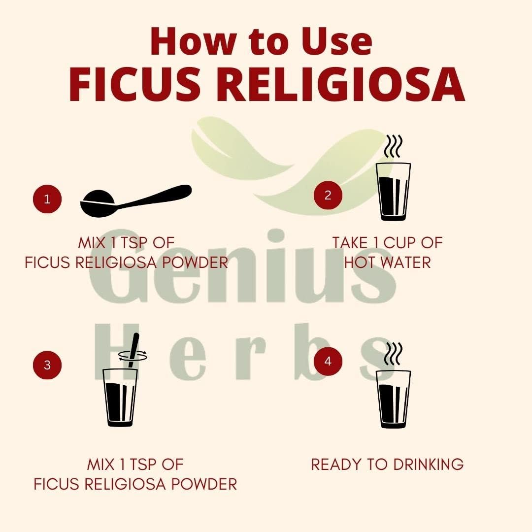 Nutrient-rich Ficus powder