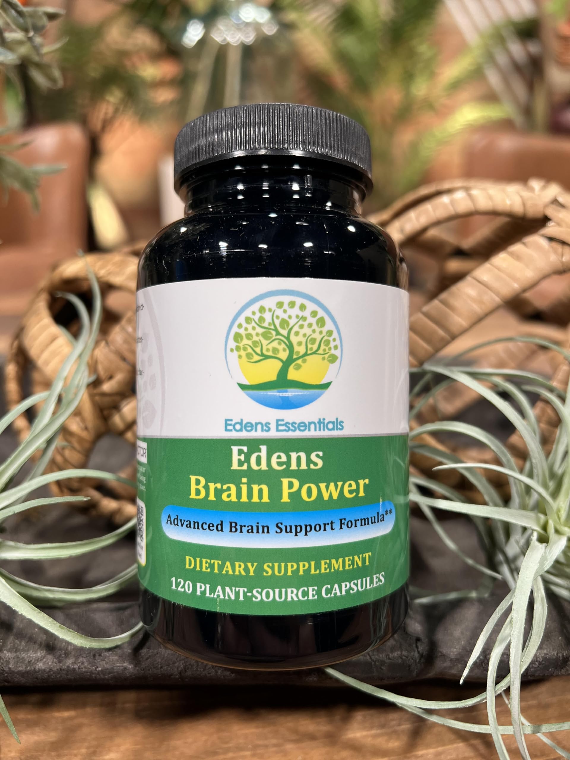nutrient-rich formula for cognitive support