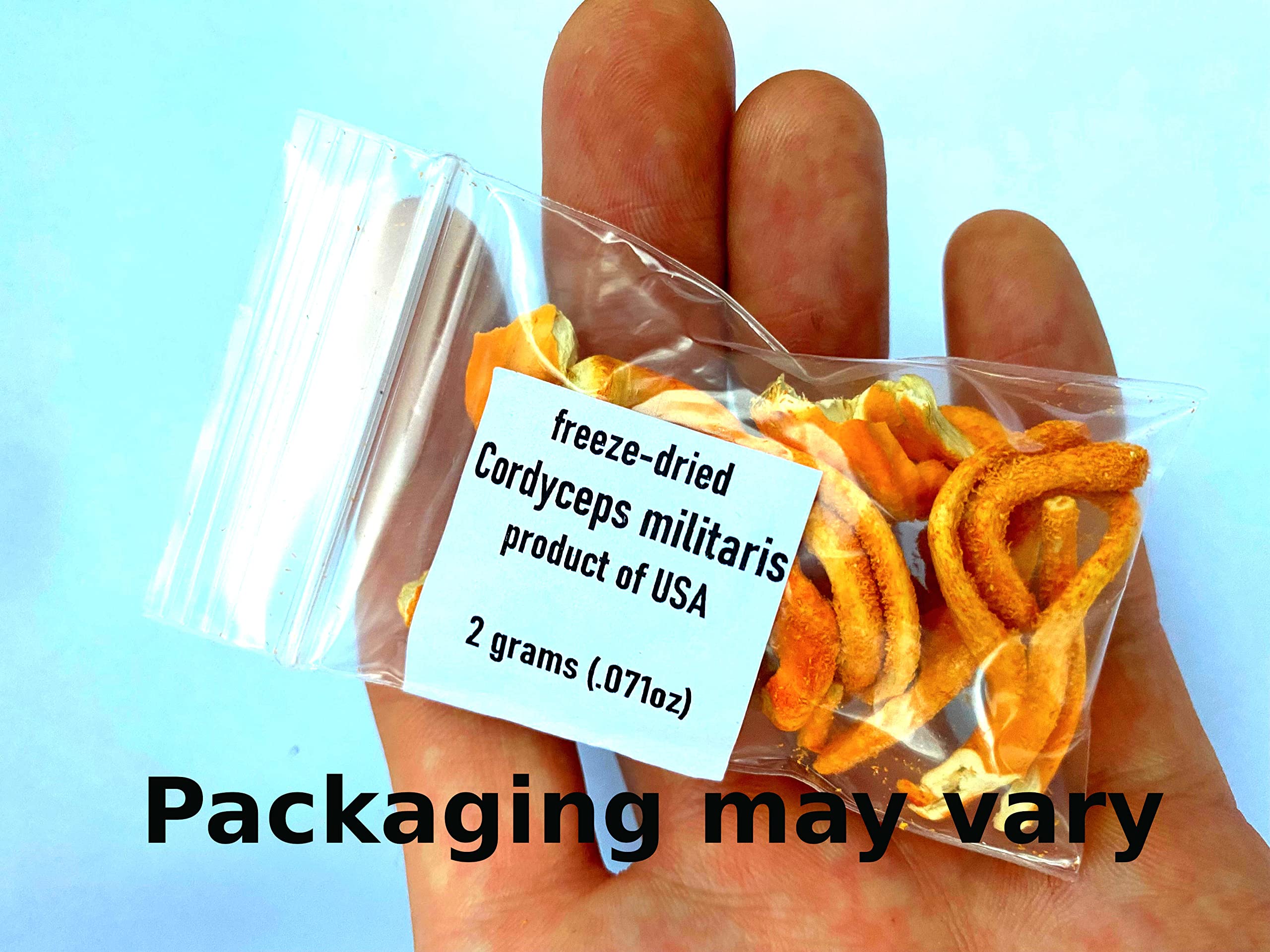 nutrient-rich freeze-dried mushrooms