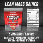 nutrient-rich gainer for hard gainers